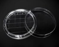 Rodac Plate - (주)엠에스유